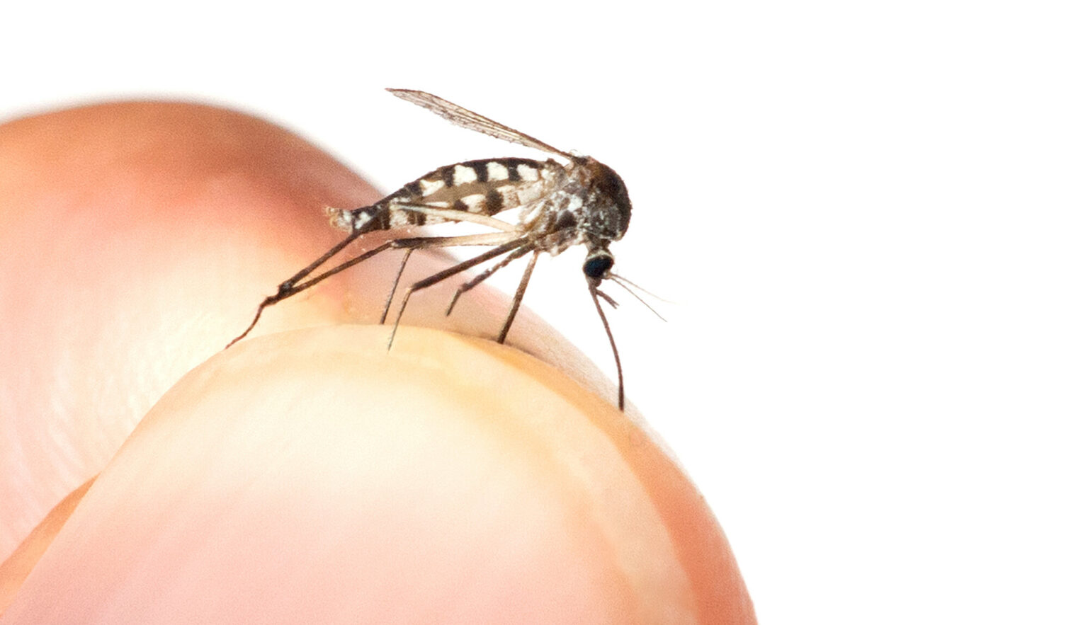 EBM-Spicker für Q1/25 – Hausärztliche Praxis