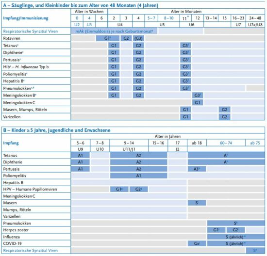 Neues von der STIKO: Impfempfehlungen 2025 – Hausärztliche Praxis